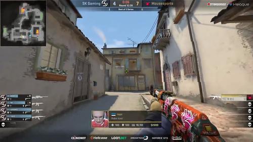 职业选手库存揭秘：ropz的库存有什么皮肤_网易BUFF饰品交易平台