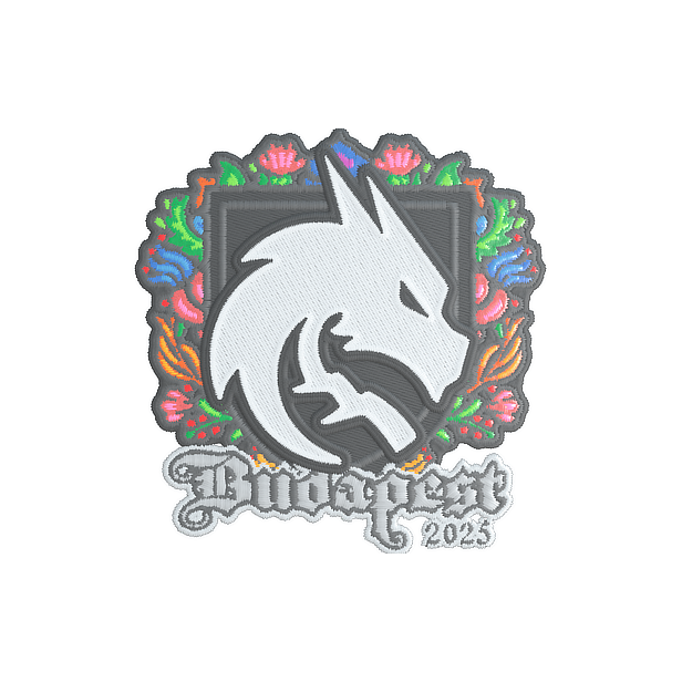 印花 | Team Spirit（刺绣）| 2025年布达佩斯锦标赛_CS2饰品交易_网易BUFF